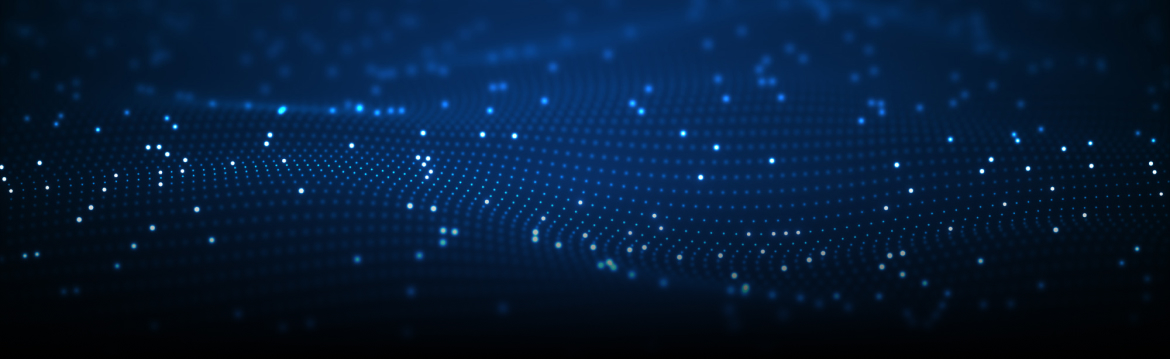 Successful Cases and Experience of Interpol Lawyers
